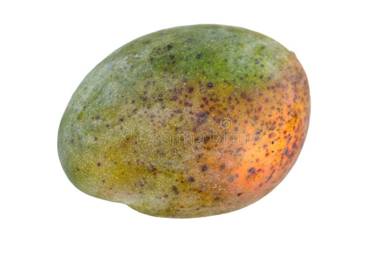 Whole Ripe Green Mango, Isolated on White Stock Image - Image of food ...