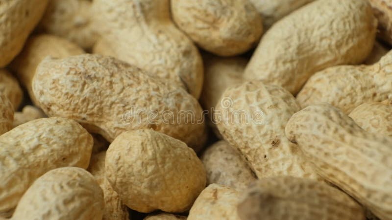 Whole Roasted Peanuts in Shell Close-Up Stock Video - Video of nuts ...