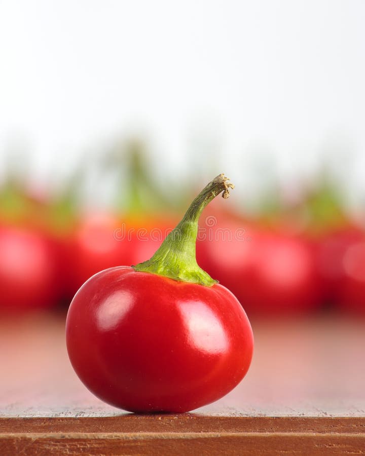 Cherry Big Bomb Pepper stock photo. Image of healthy - 17184628