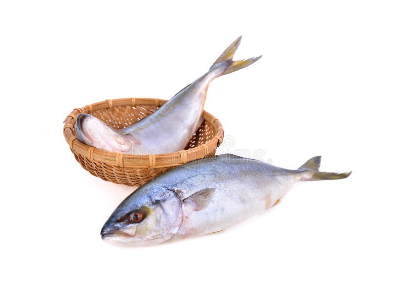Whole Round Yellowtail Fish or Hamachi Fish in the Basket and on Stock ...