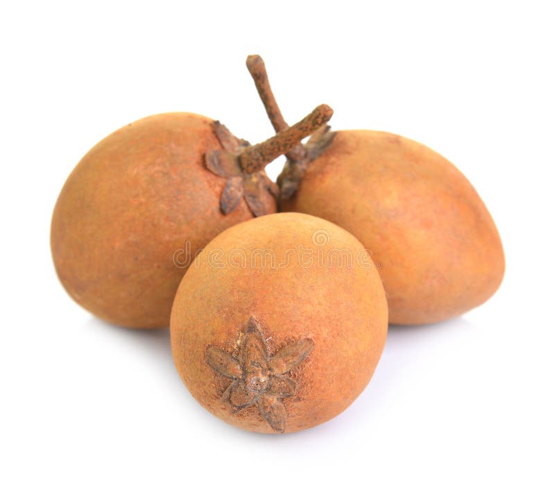 Whole Sapodilla Fruits stock photo. Image of fruit, attached - 150541910