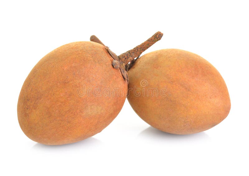 Whole Sapodilla Fruits stock photo. Image of fruit, attached - 150541910