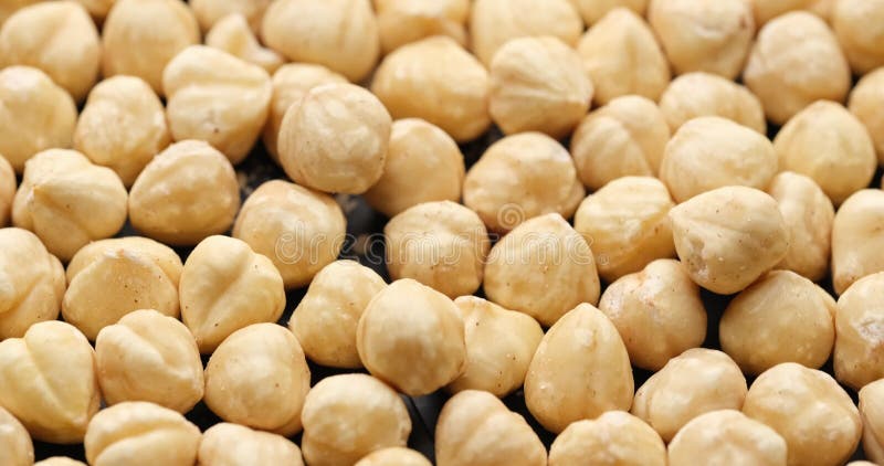 Whole Shelled Hazelnuts Nuts Kernels Close-up on Rotating Platform ...