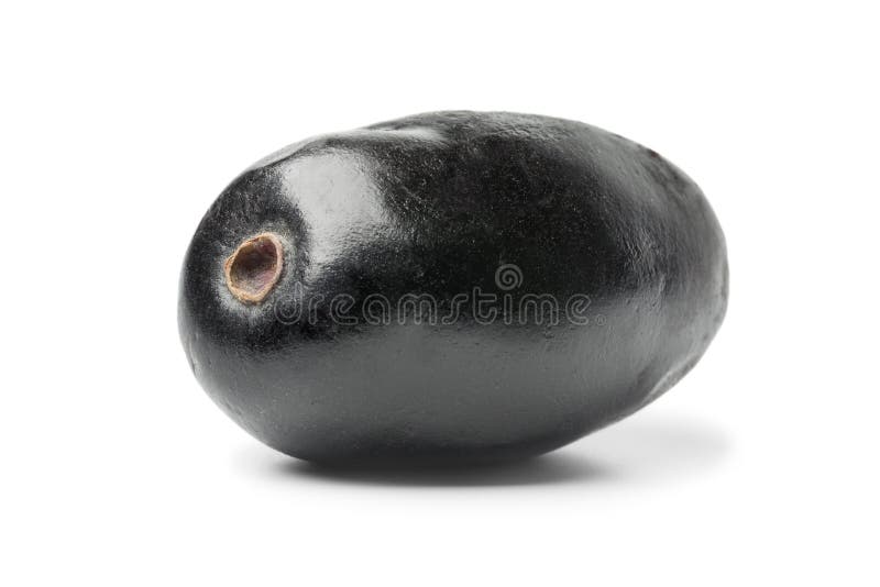 Djamoen Stock Photos - Free & Royalty-Free Stock Photos from Dreamstime