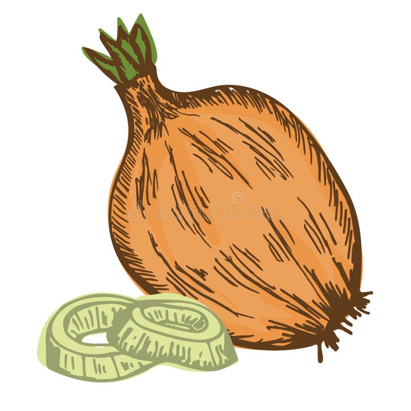 Slice Onion Color Icon Vector Illustration Stock Vector - Illustration ...