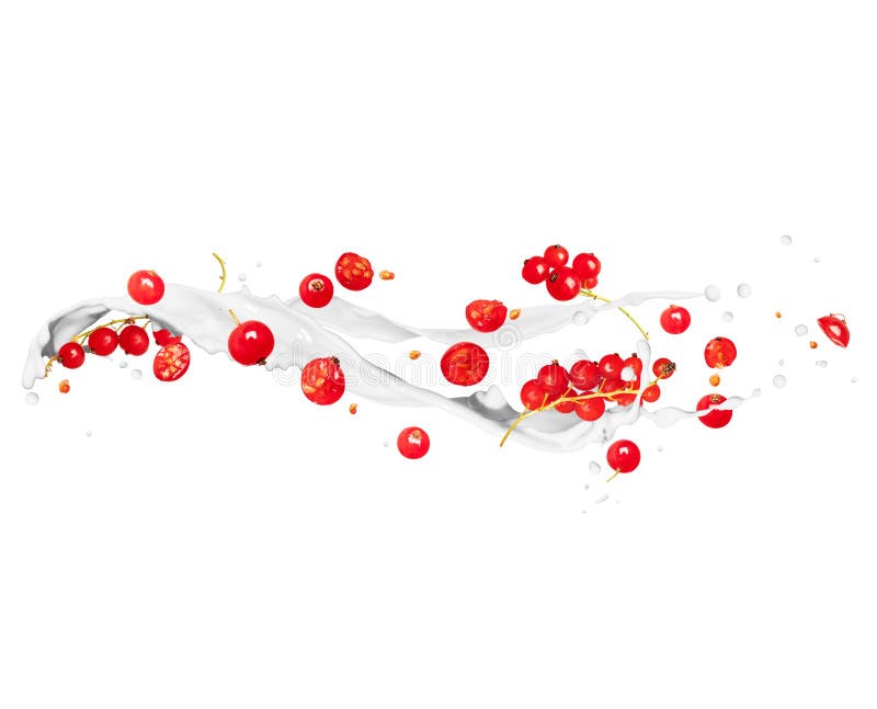 Whole and Sliced Red Currants with Milk Splashes Stock Photo - Image of ...