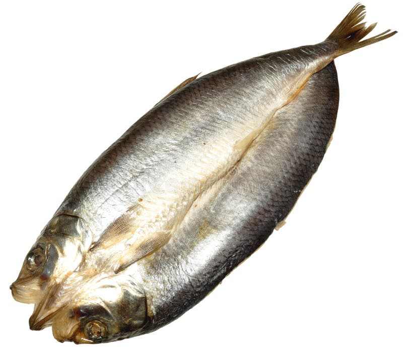 Manx Kipper Stock Photos - Free & Royalty-Free Stock Photos from Dreamstime