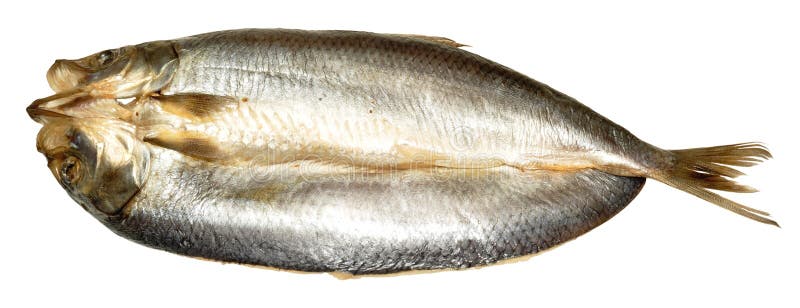 Whole Split Kipper stock photo. Image of omega, food - 34536042