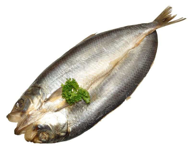 Whole Split Kipper stock photo. Image of diet, healthy - 34536076