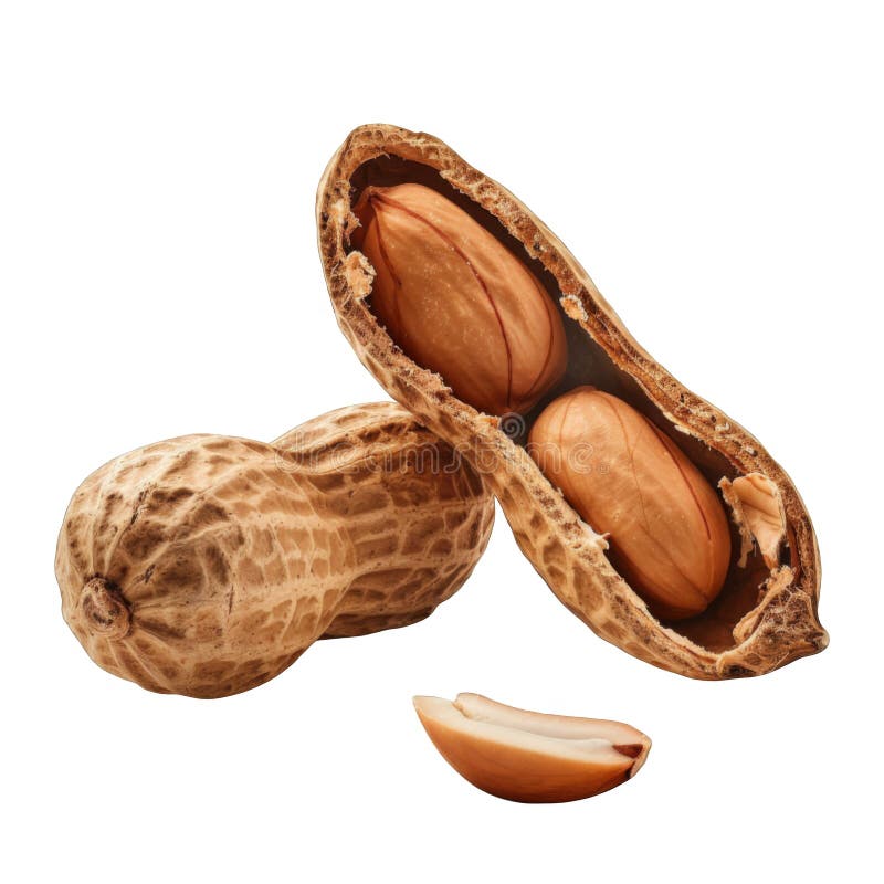 Whole and Split Peanuts with Brown Shells Stock Photo - Illustration of ...