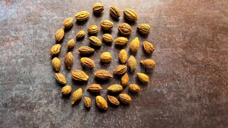 Whole Terminalia Chebula Fruit Stock Footage - Video of herb, harar ...