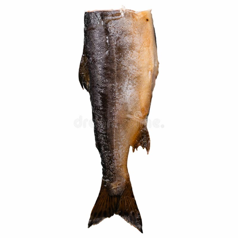 A Whole Trout Fish Presented in a Vertical Position Against a White ...