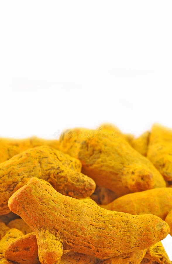 8,789 Turmeric Plant Photos - Free & Royalty-Free Stock Photos from ...