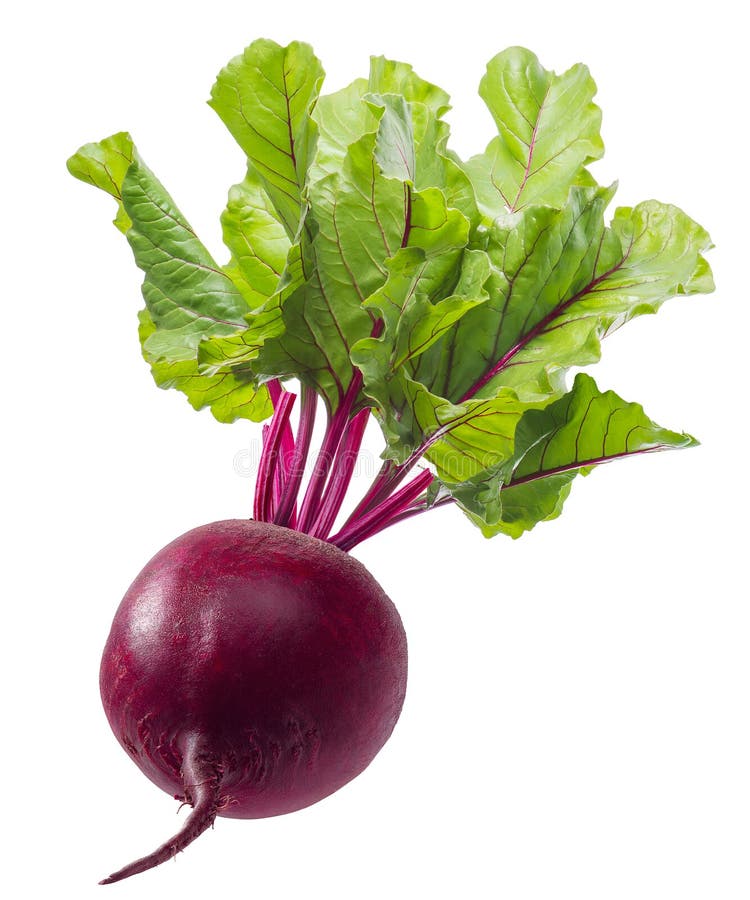 Beet Root with Round Slices Isolated on White Background Stock Photo ...
