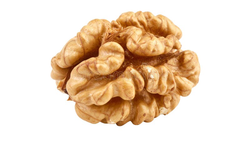 Whole Walnut Presenting Rich Brown Texture Against Transparent Backdrop ...