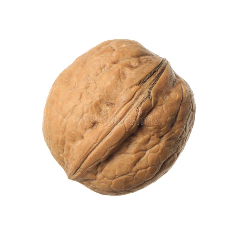 Whole Walnut in Shell Isolated on White Stock Photo - Image of diet ...