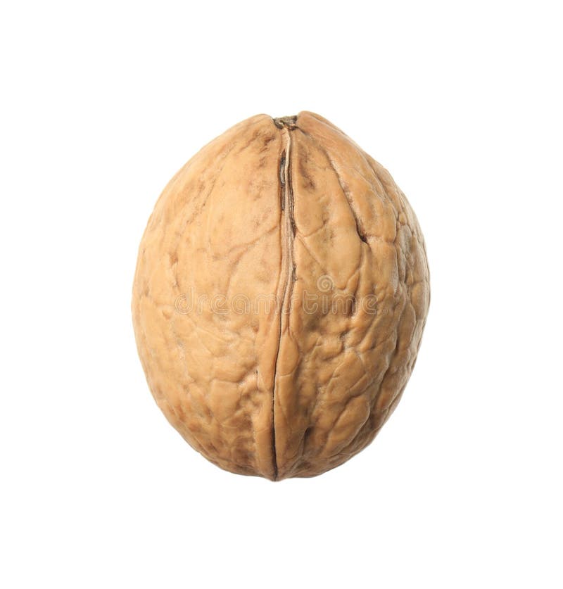 Whole Walnut in Shell Isolated on White Stock Photo - Image of organic ...
