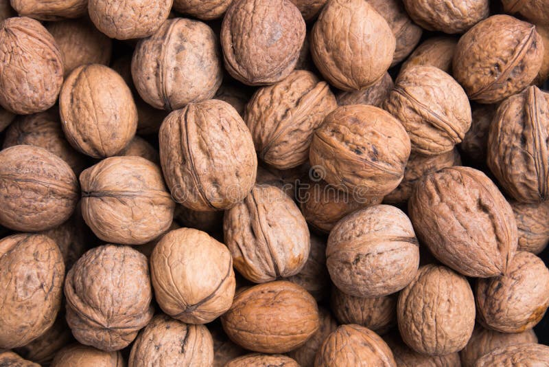 Whole walnut shells stock image. Image of healthy, nutrition - 146670797