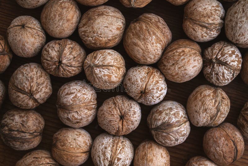 Whole Walnut on the Table. Texture Stock Image - Image of wooden ...