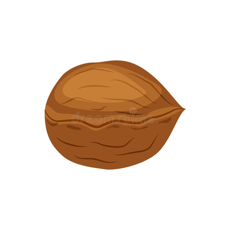Whole Walnut Stock Illustrations – 1,108 Whole Walnut Stock ...