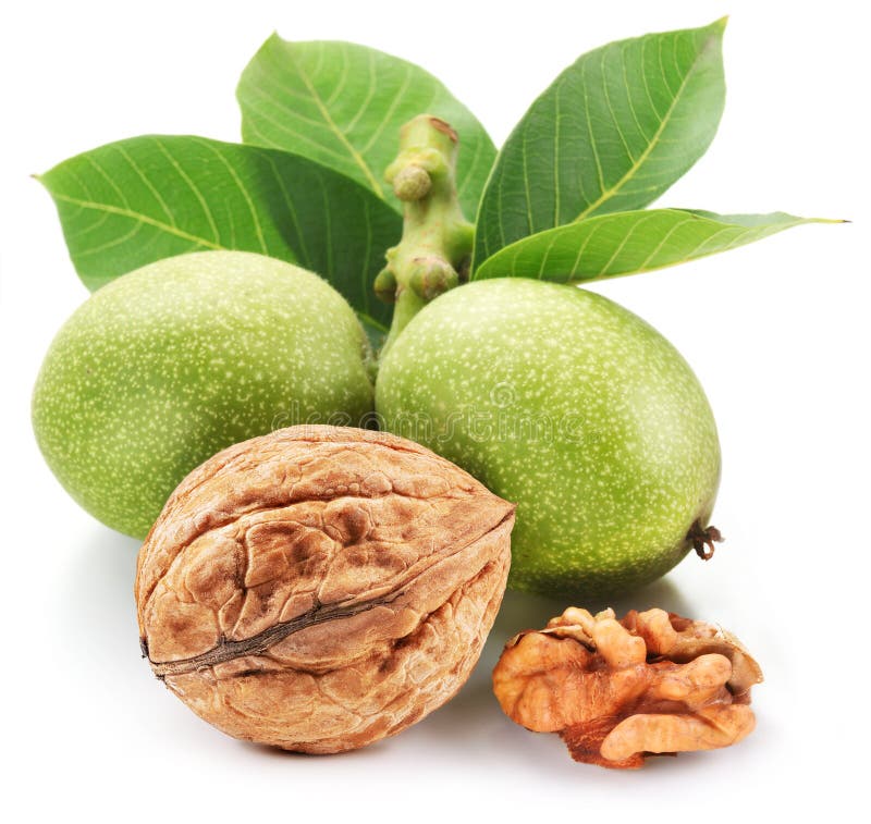 Whole Walnut and Walnut Kernel with Leaves Isolated on White Background ...