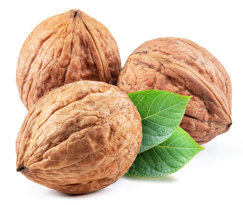 Whole Walnut and Walnut Kernel with Leaves Isolated on White Background ...