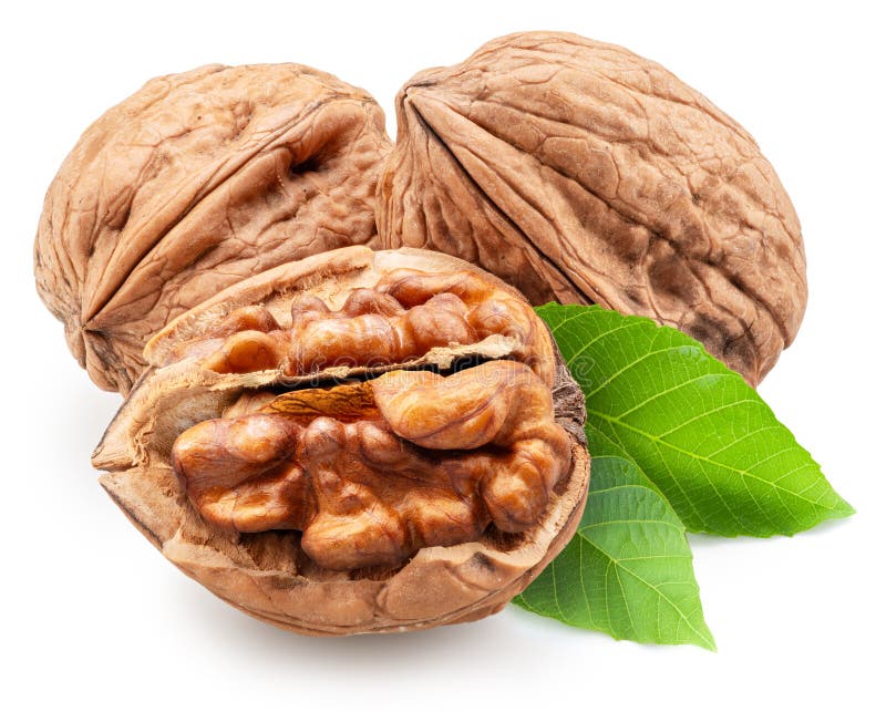 Whole Walnuts, Broken Walnut with Kernel and Green Leaves Isolated on ...
