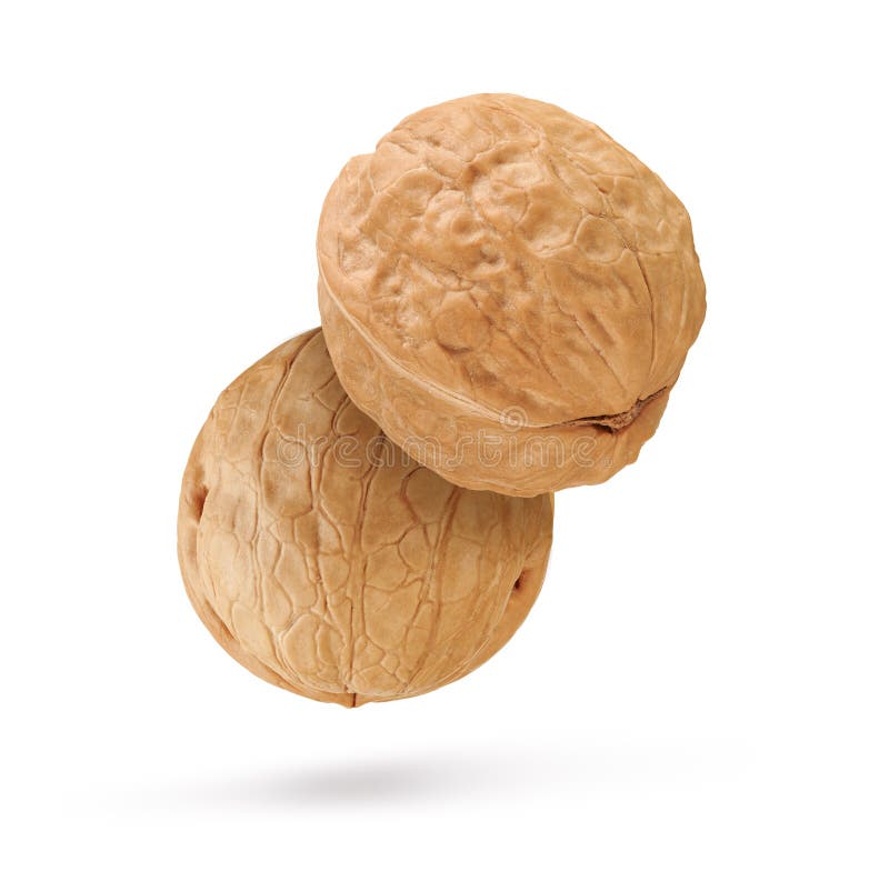 Whole Walnuts Isolated on White Background Stock Image - Image of nutty ...