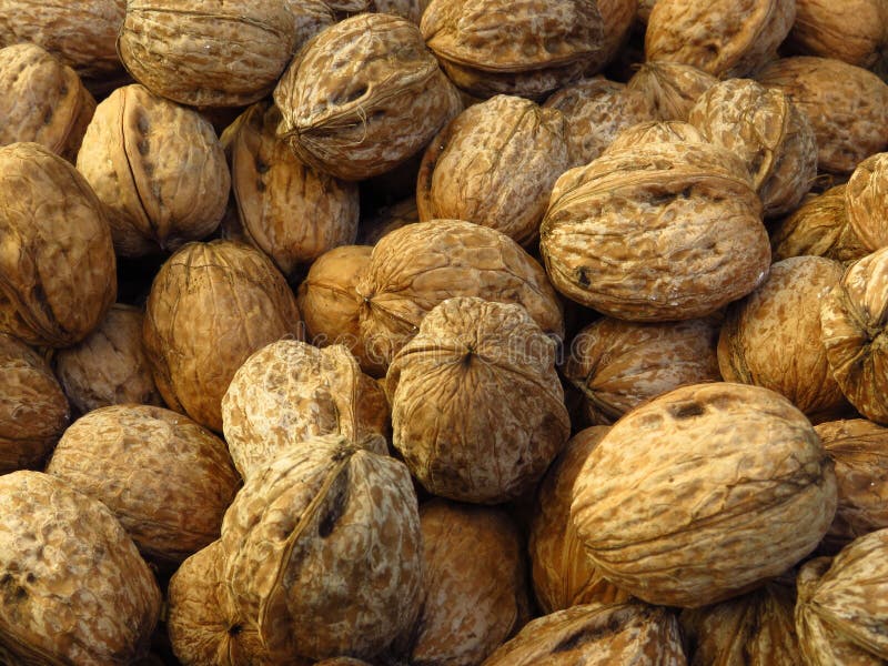 Whole Walnuts. Natural Walnut Background Pattern Texture. Abstract ...