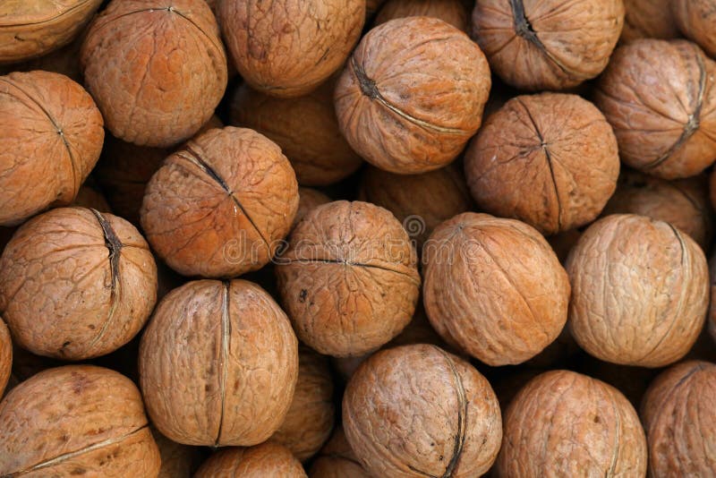 Brown nutshells stock image. Image of empty, textures - 4917537