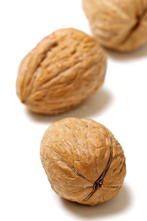 Whole Walnuts stock image. Image of small, food, eating - 173161671