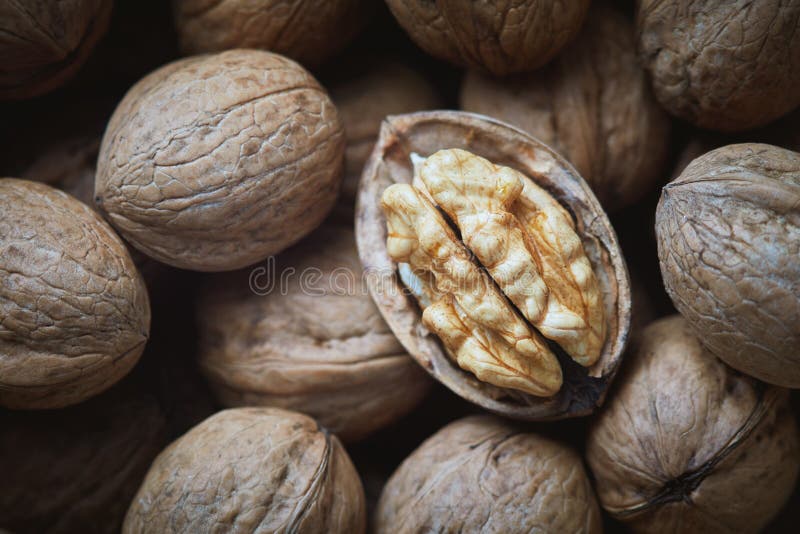 Whole walnuts in shell stock photo. Image of brown, copy - 128421288
