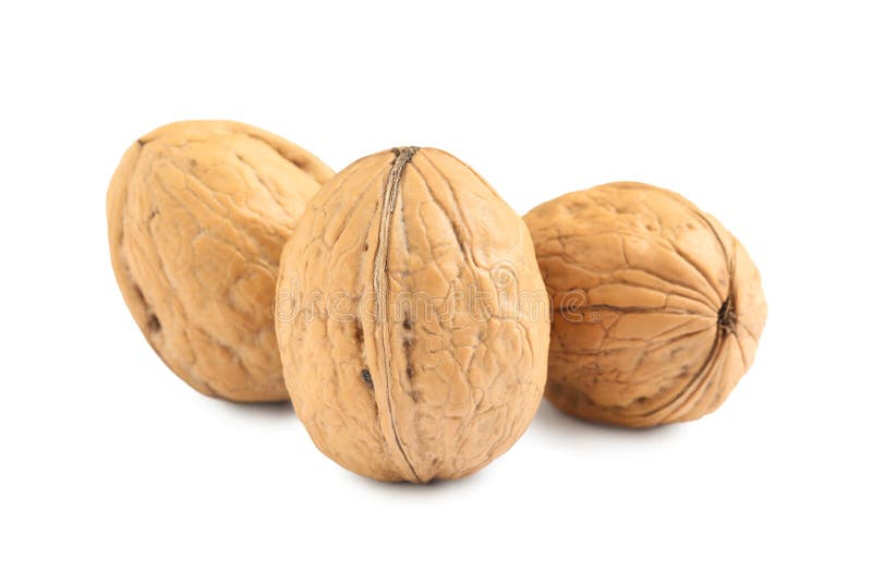 Whole Walnuts in Shell on White Background Stock Image - Image of meal ... Whole Walnuts in Shell on White Background Stock Image - Image of meal ...