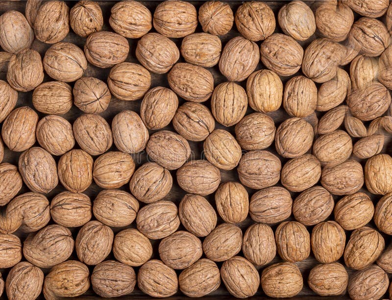 Whole walnuts on tray stock photo. Image of heart, healthy - 273619356