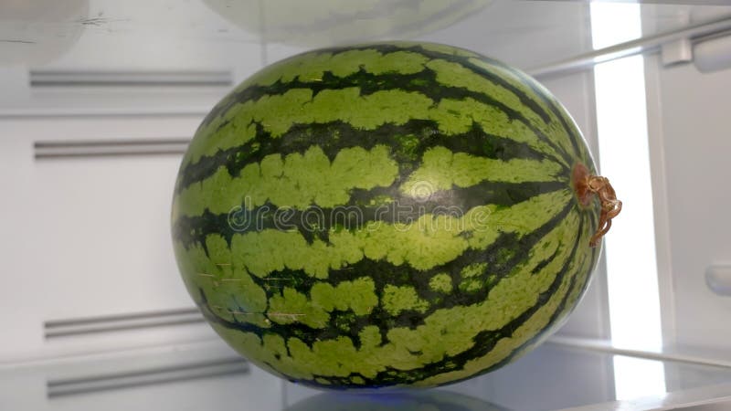 A Whole Watermelon in the Fridge Stock Image - Image of interior ...