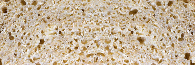 Whole Wheat Bread Texture. Macro. Long Horizontal Banner for Design ...