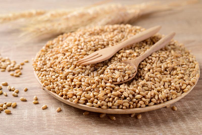Whole Wheat Grain on Plate with Wooden Spoon and Fork Stock Image ...