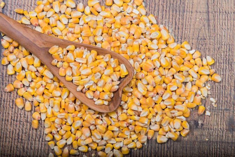 Whole Yellow Corn on a Wooden Spoon Stock Photo - Image of organic ...