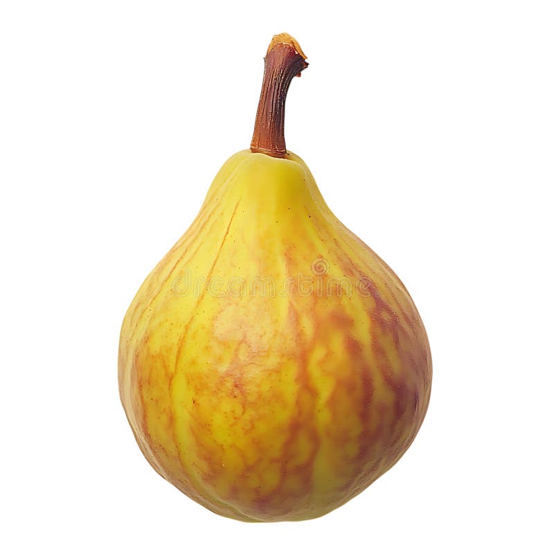 Whole Yellow Fig Fruit Against Transparent Background Stock ...