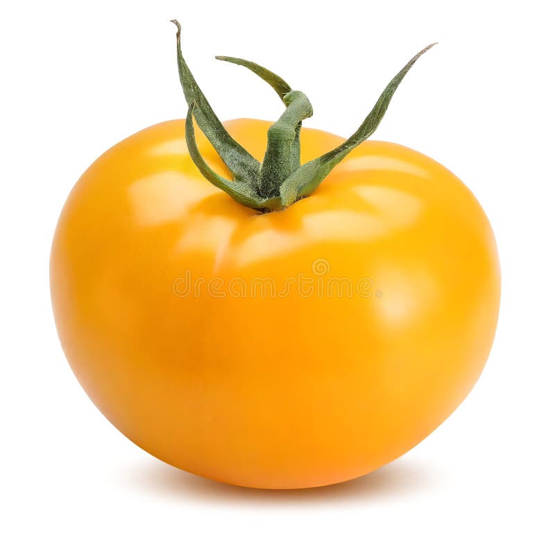 Whole Yellow Tomato Isolated on White Background. Stock Photo - Image ...