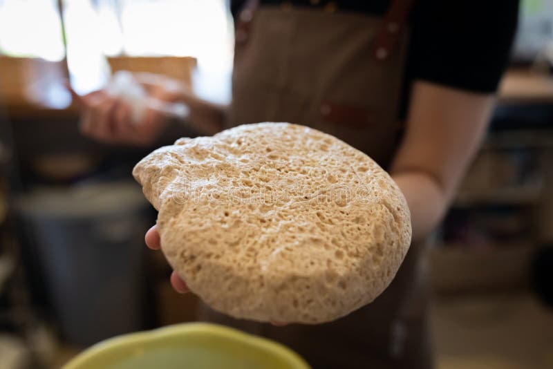 Wholemeal Bread Dough after Fermentation and Fermentation. the Process ...
