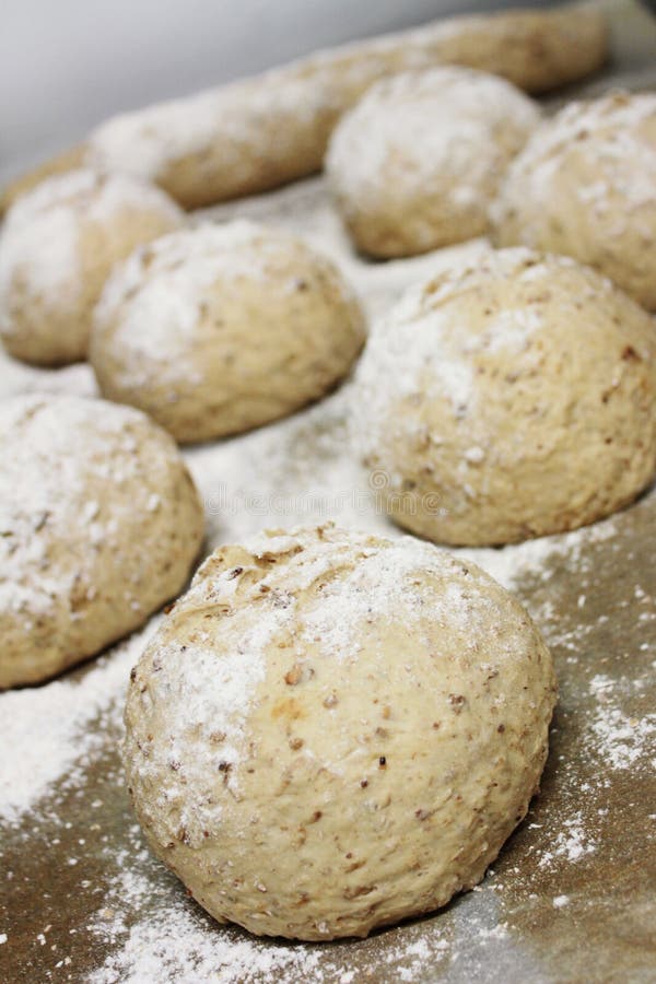 Proving Bread stock photo. Image of food, healthy, bread - 21489388