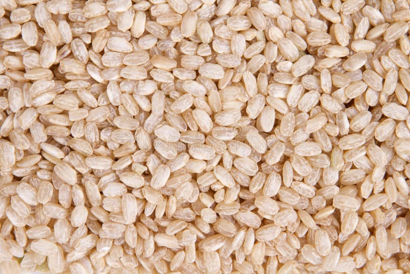 Wholemeal rice stock image. Image of fiber, dieting, closeup - 31314439