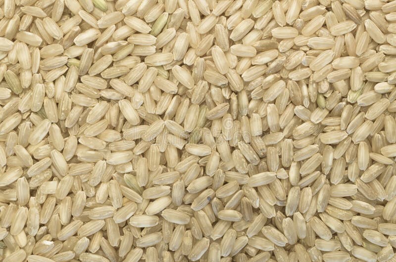 Wholemeal Rice Grains in a Cup Stock Image - Image of background, food ...