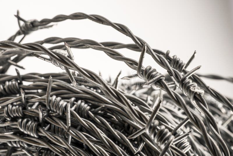 Whorl of Barbed Wire Forming a Coil Stock Photo - Image of coiled ...