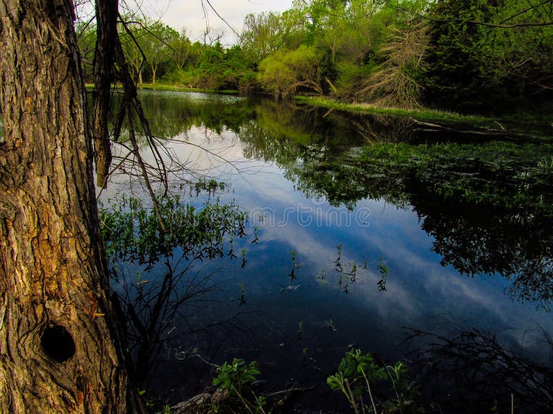 Why Do You Ask when You Know the Answer Stock Photo - Image of ...