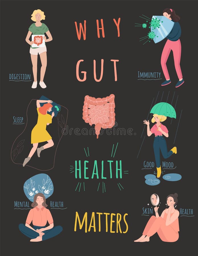 Why Gut Health Matters Landscape Poster Medical Infographic Stock