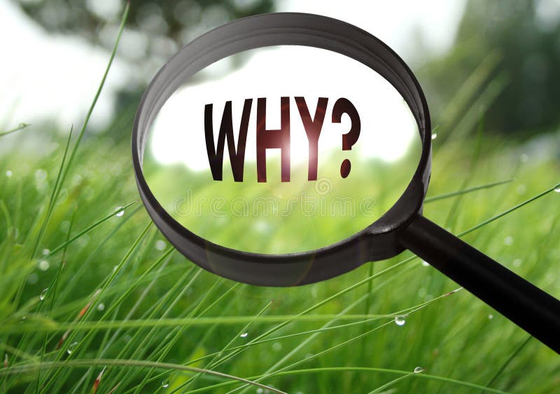 22,628 Why Stock Photos - Free & Royalty-Free Stock Photos from Dreamstime