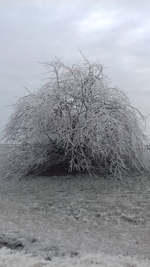 Why so serious? stock photo. Image of dislikes, standing - 93906966