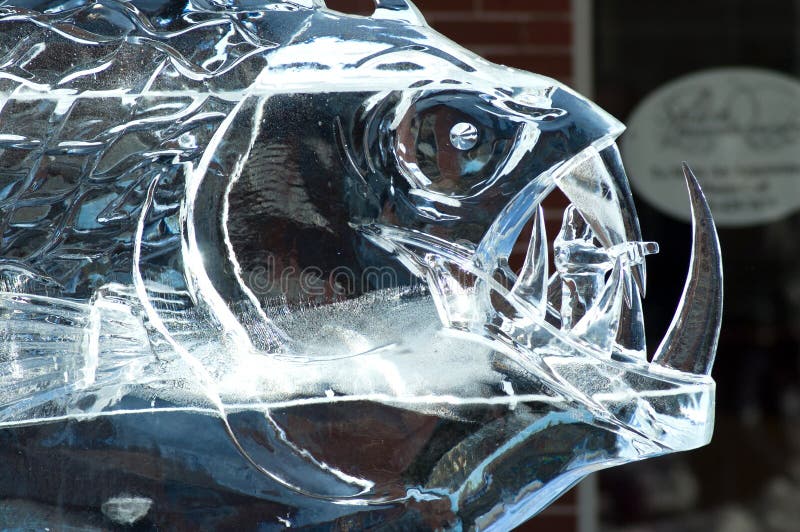 Wicked fish ice sculpture stock image. Image of horizontal - 24287409